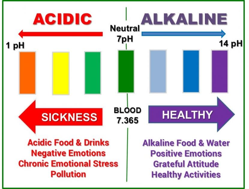 Cancer- the "Healthy Cell" Solution Part 1. - Cancer Healing Buddy