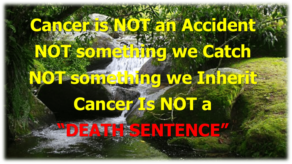 Introduction to Cancer - Cancer Healing Buddy