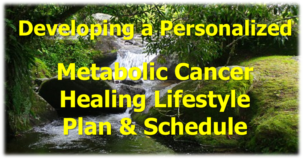My Cancer Credentials - Cancer Healing Buddy